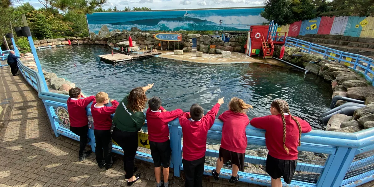 Chessington School Workshops
