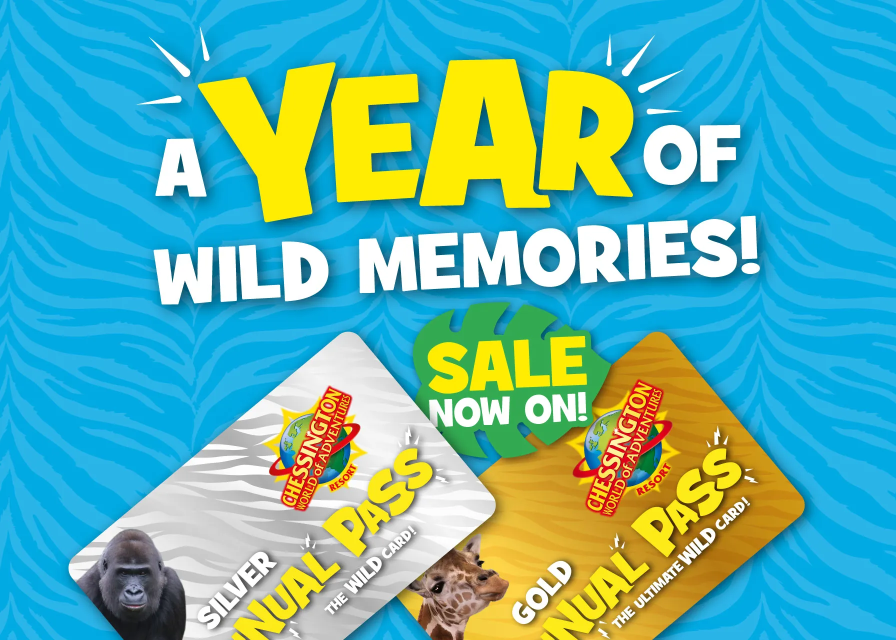 Chessington World of Adventures Resort: UK Theme Park & Zoo