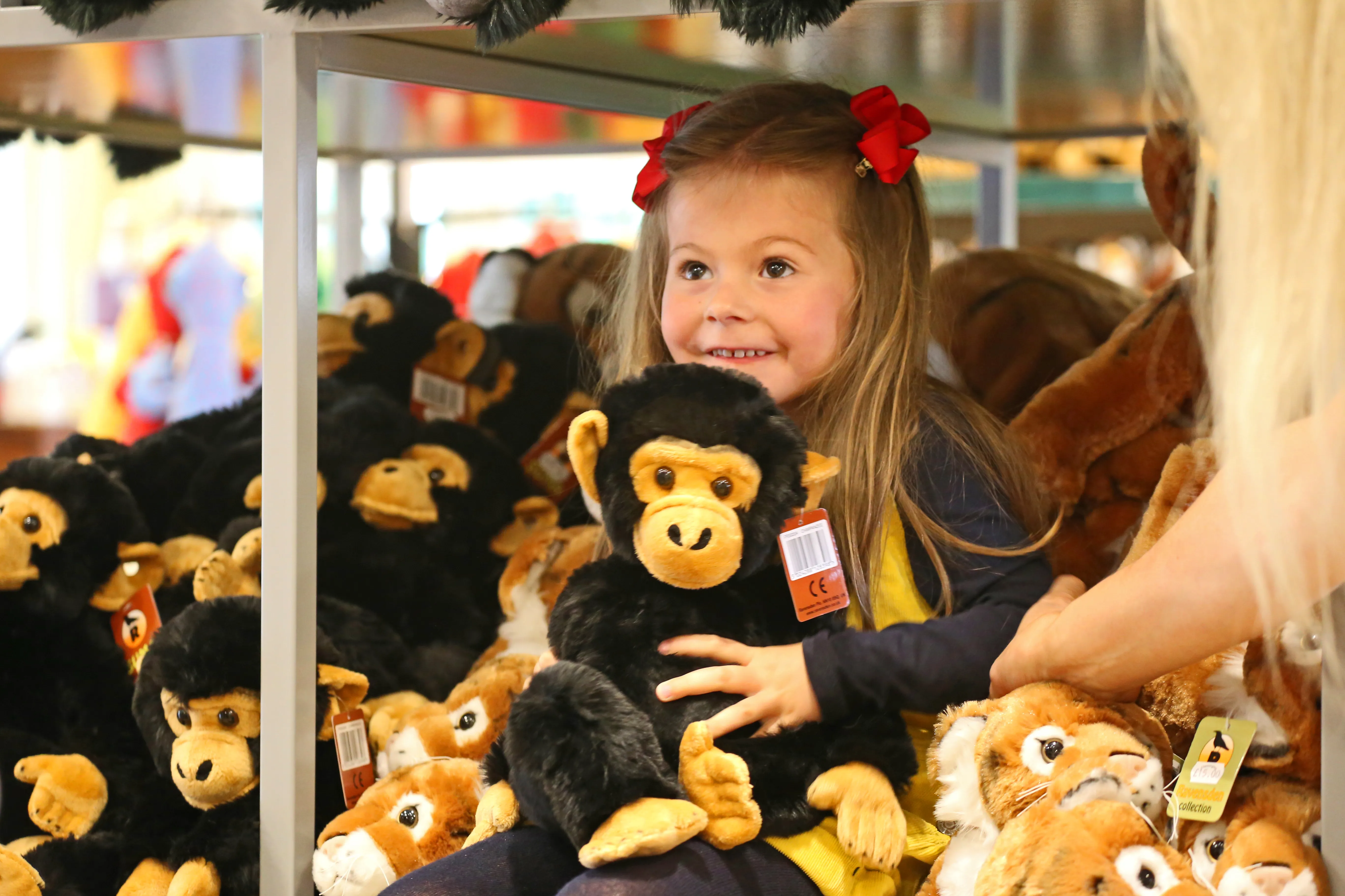 Restaurants & Shops at Chessington World of Adventures Resort