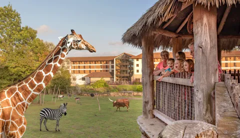 Chessington World of Adventures Resort: UK Theme Park & Zoo